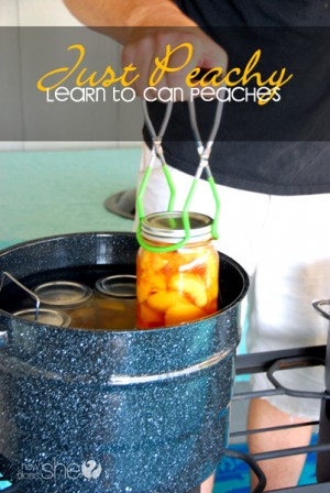 Just Peachy- Canning peaches for beginners | How Does She