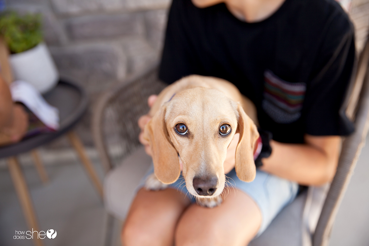 The Happy Surprise Every Dog Deserves | How Does She
