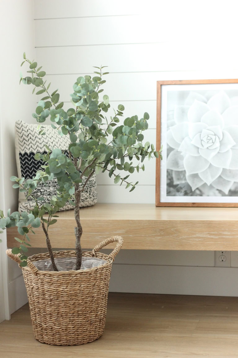 Bring in the Green! 10 Fave QVC Spring Deals | How Does She